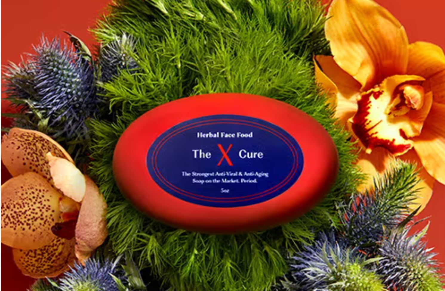 The Cure X Soap – Nourish Skin and Mind